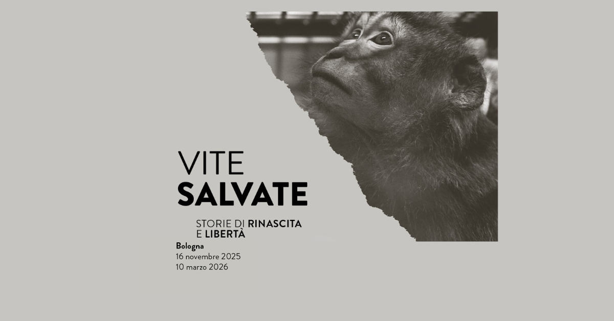 Brescia, 11-12 aprile: mostra 'Vite Salvate' al Chimera Veg Fest