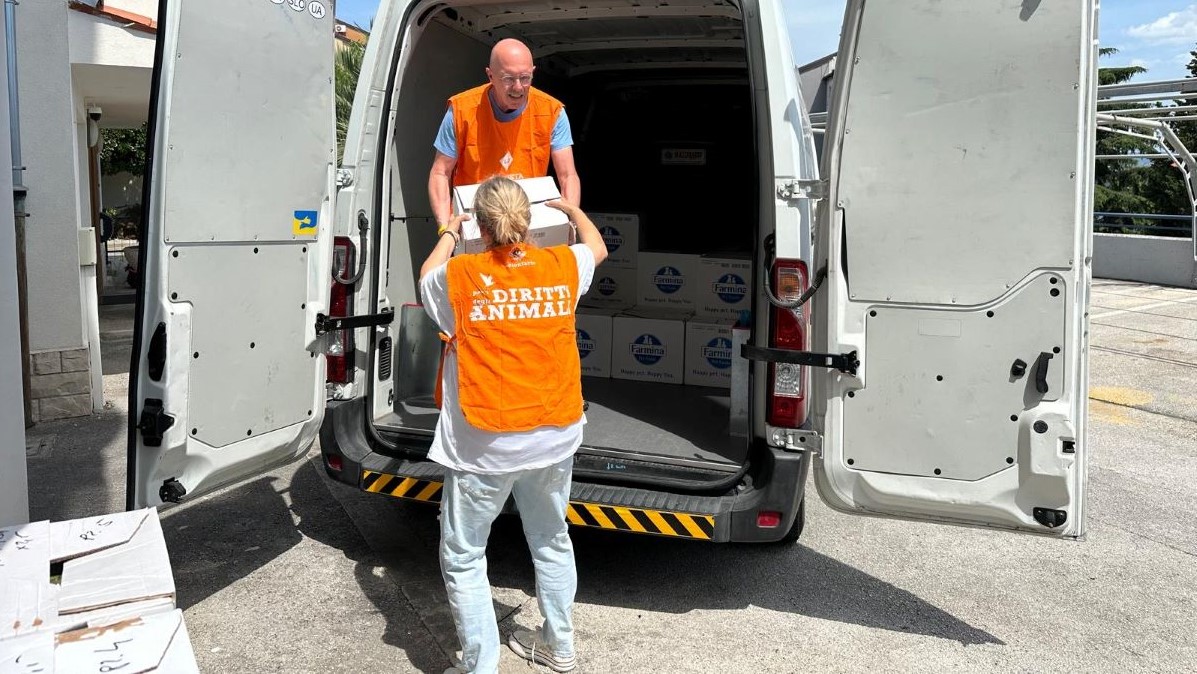 Unità d'Emergenza LAV in missione per 28 cuccioli serbi