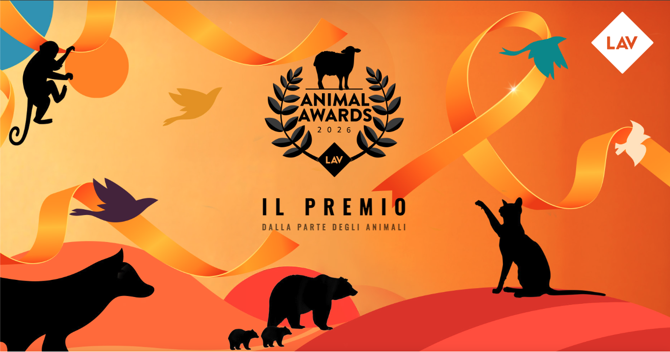 ANIMAL AWARDS LAV 2026: scopri i vincitori!