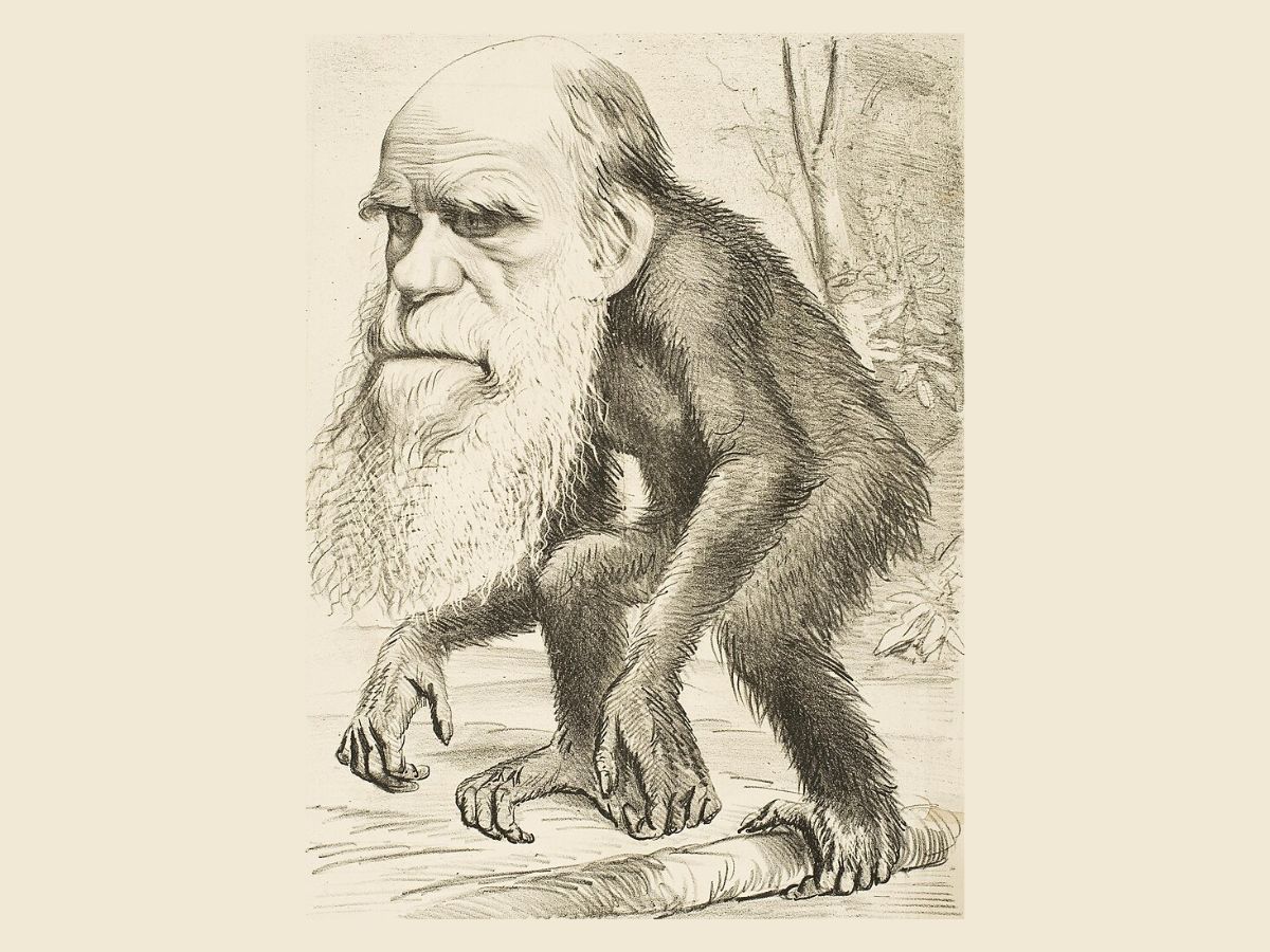 Darwin Day 2025: una giornata per celebrare la fine dell’antropocentrismo