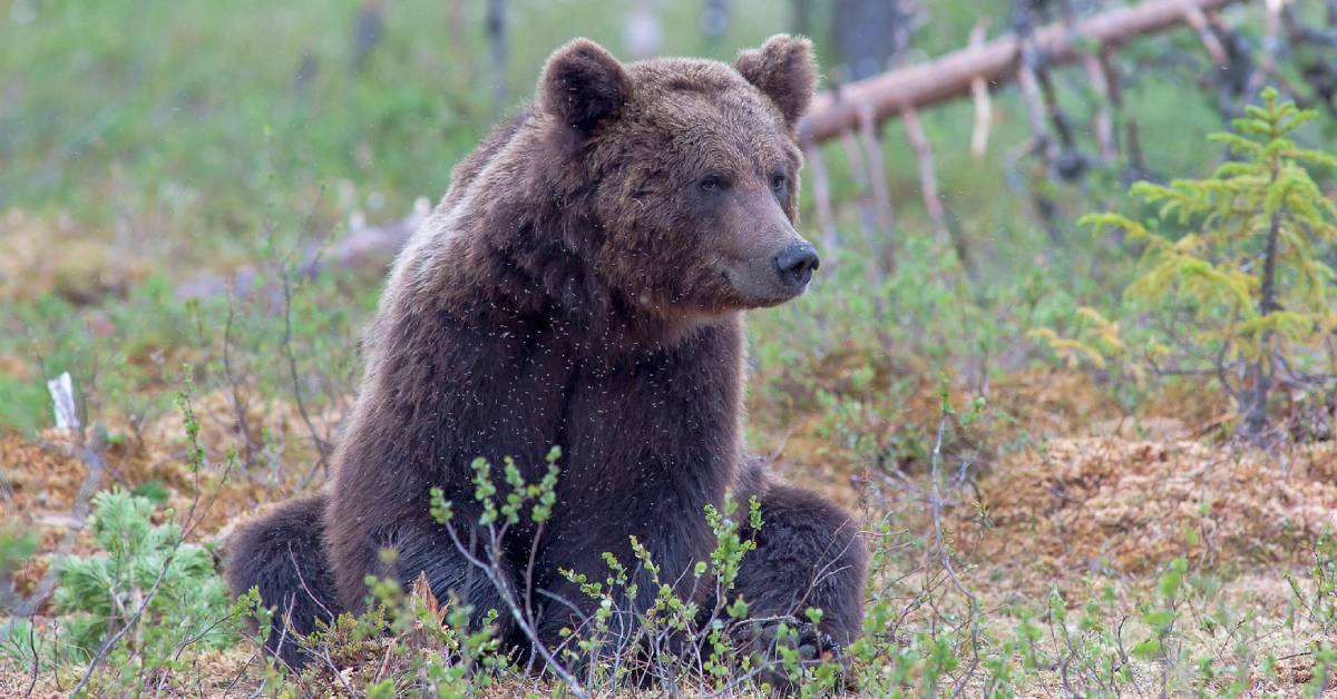 Tamanna hd pron she was very pleasant & was the fantastic