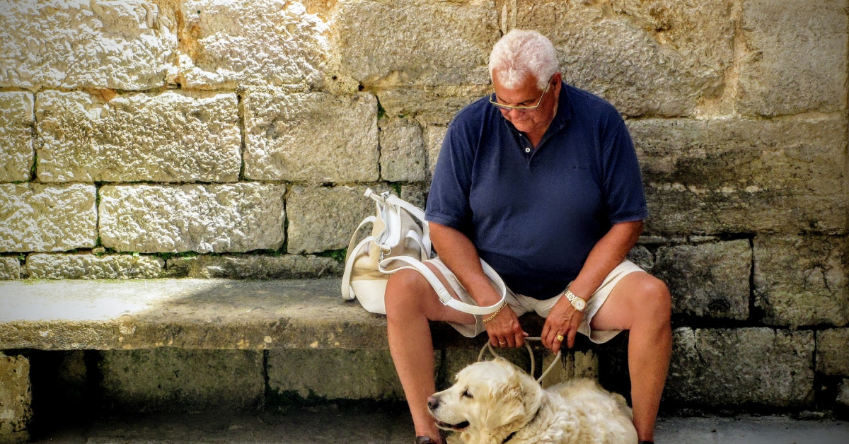 Roma: i centri anziani ora ospiteranno anche i cani