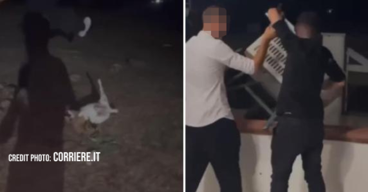 Capretta di Anagni: necessario disporre nuove indagini e avviare il ...