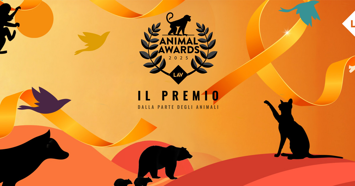 ANIMAL AWARDS LAV 2025: vota anche tu!