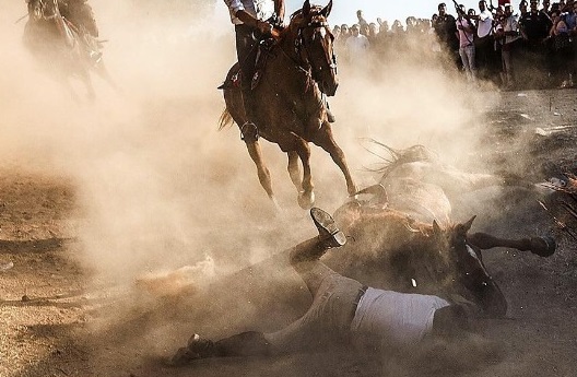Sedilo (OR): rovinosa caduta all'Ardia, diversi cavalli coinvolti, 6 ...